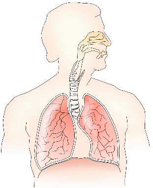 So you think you can breathe? - Part 1 - Beyond Wellness